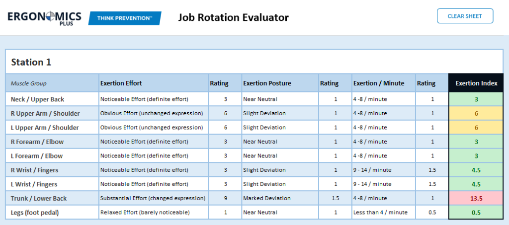 A Step-by-Step Guide to Job Rotation